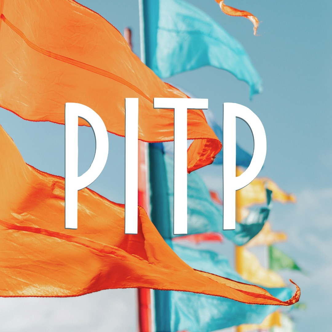 Party In The Paddock Returns for 2025 Edition | That Festival Site